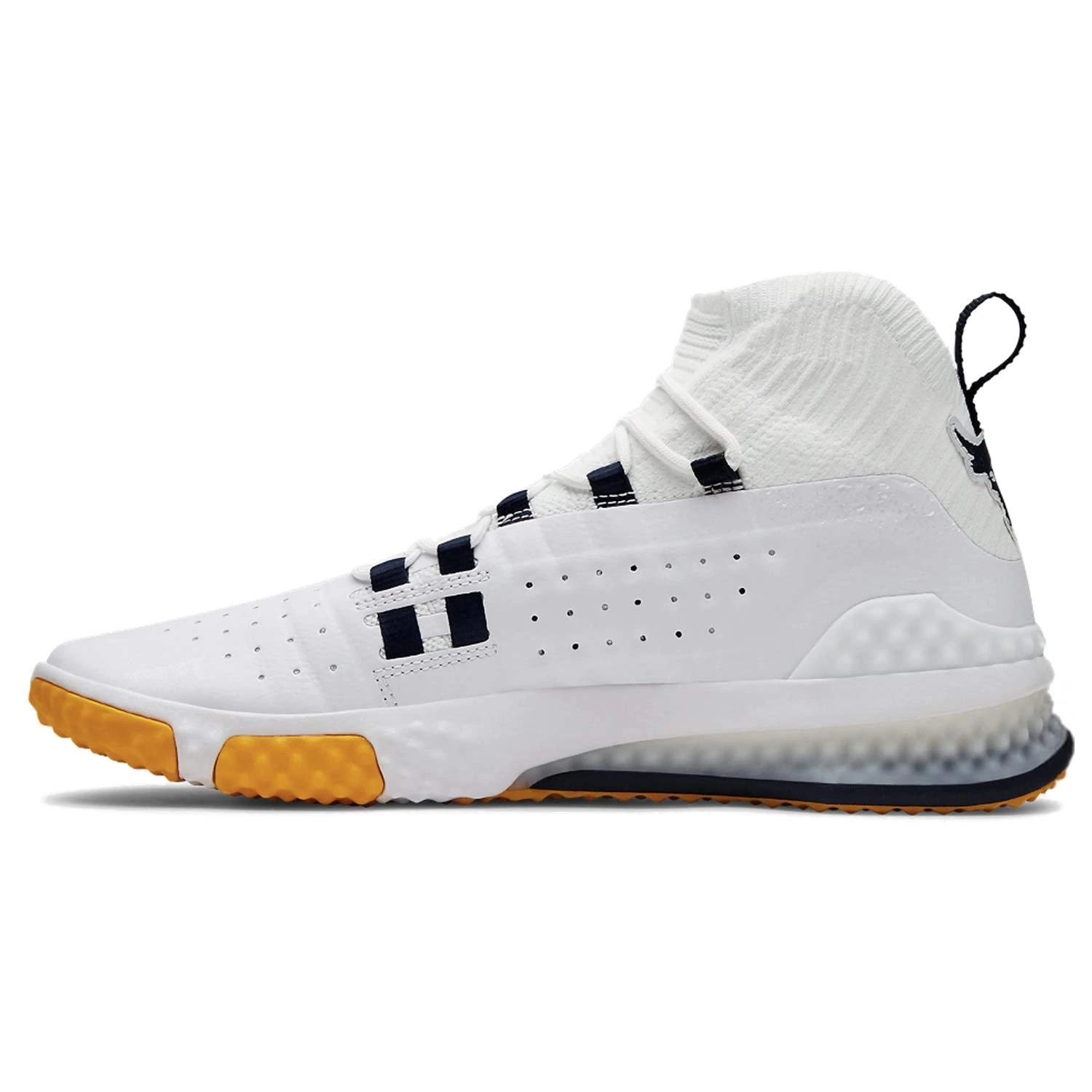 Buty treningowe męskie Under Armour Project Rock 1 – cena, opinie ...